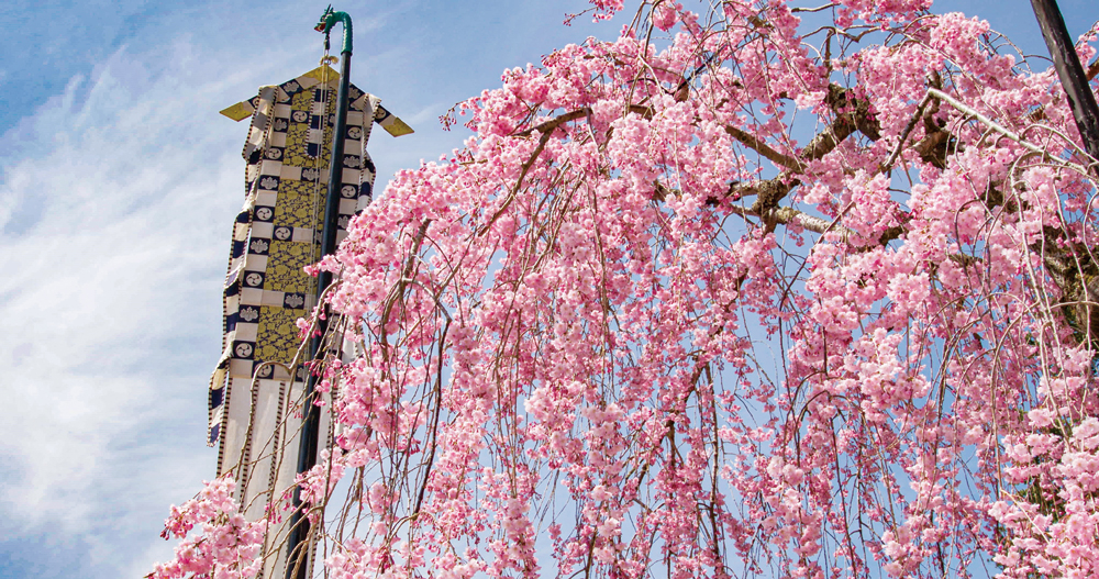 四季 高野山 - ビコム製品データベース